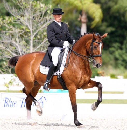 Lars Petersen & Mariett Ready for Rotterdam - Dressage-News