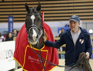 World Record Horse Valegro (and his Family) in Photos by Jenny ...