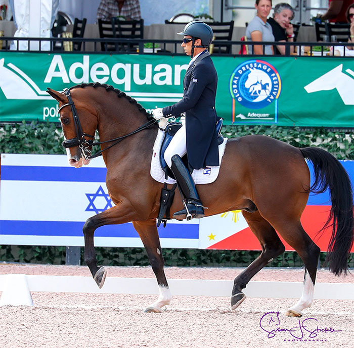 Riders from 3 Nations at Florida's Global Dressage Festival Earn First ...