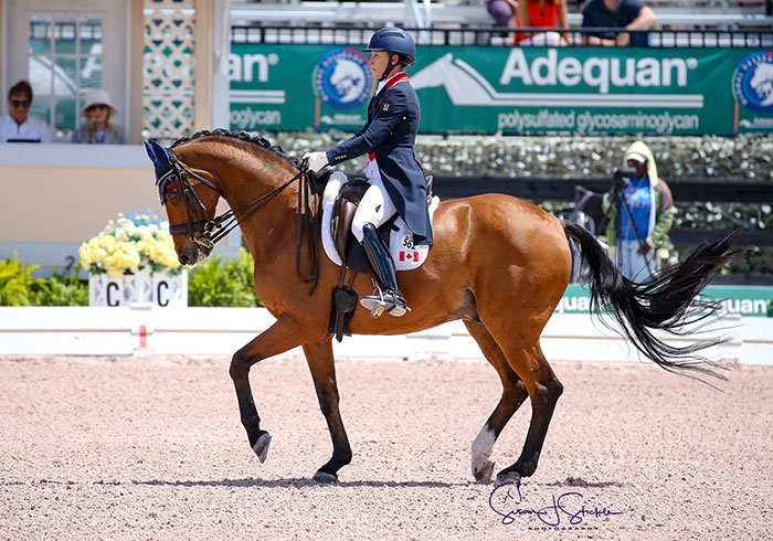 Canada's Jill Irving Recovering from Injury on Degas Ride Horse to ...