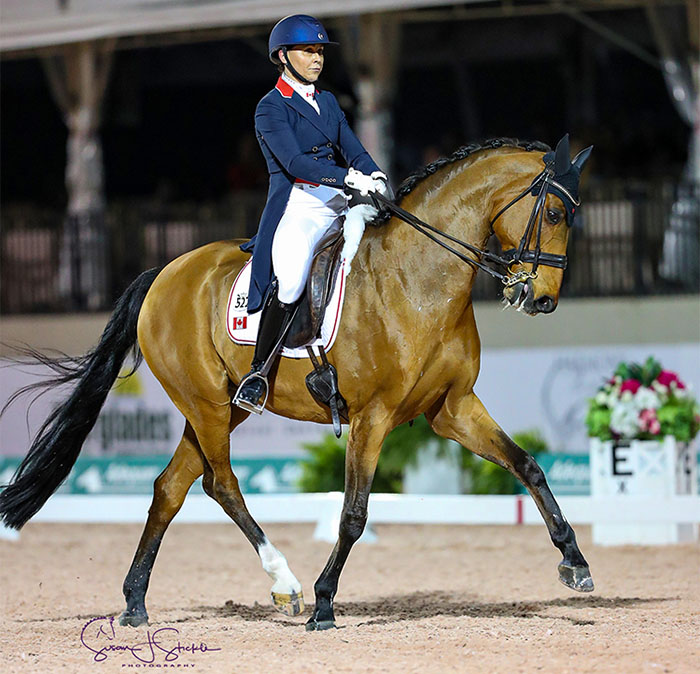 Steffen Peters & Suppenkasper Win Wellington CDI3* Grand Prix, Canadian ...