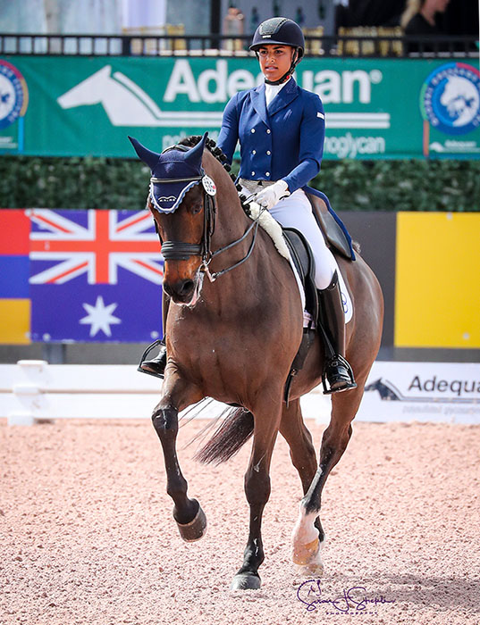Wilton, Retired After Meltdown, Brought Back & Retrained by Anna ...