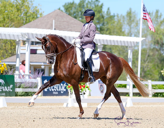 Alice Tarjan & Gjenganger Win 4-Year-Old Test, Spain's Pablo Gomez ...