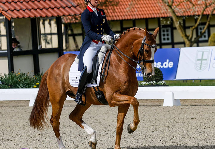 Gio – Dressage-News