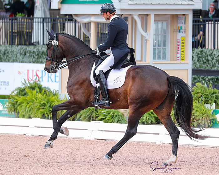 Alice Tarjan 1st on American-Bred Serenade MF, 2nd on Harvest in Lövsta ...