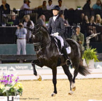 Alice Tarjan With Record Number of Horses at USA Festival of Champions ...
