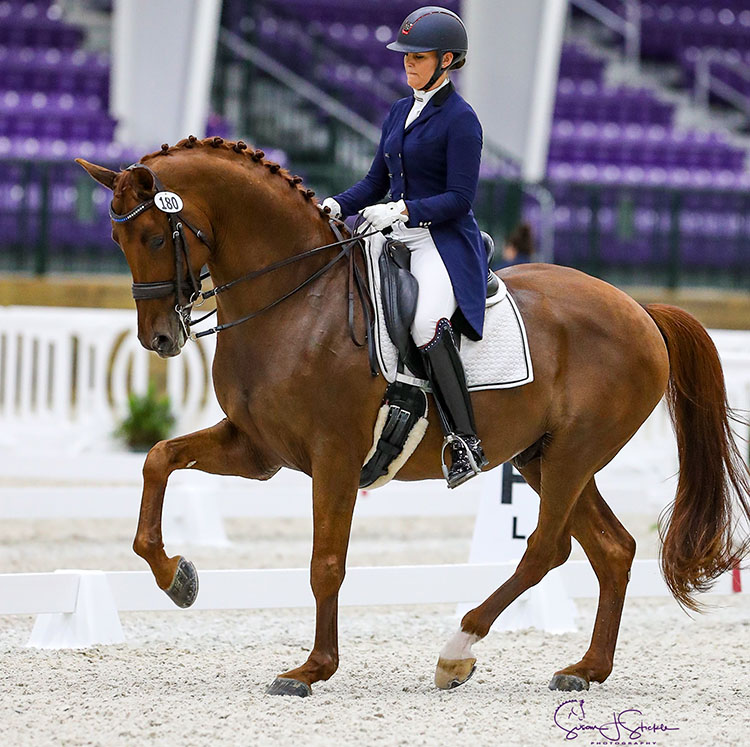 Wellington's Global Dressage Festival 11th Year Opens This Week, 1st ...