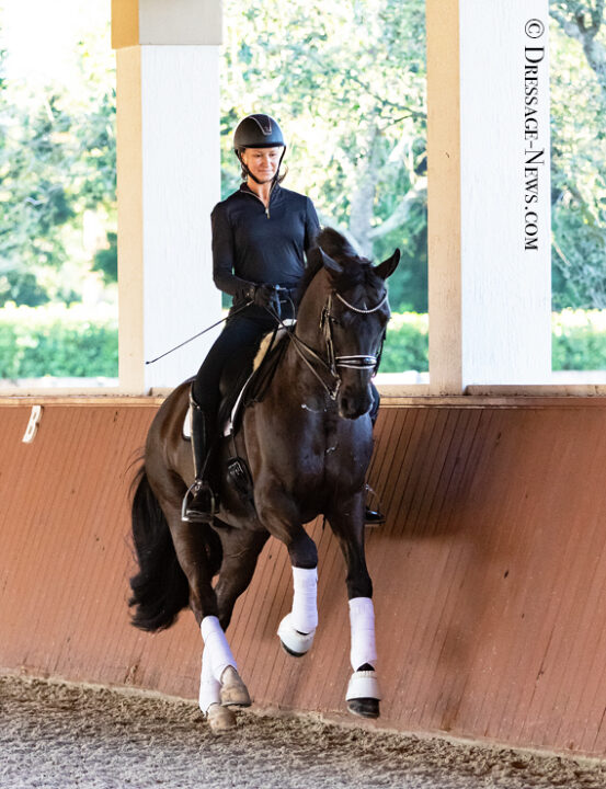Nexolia Feodoro Moving to Lars Petersen from Adrienne Lyle for Training ...