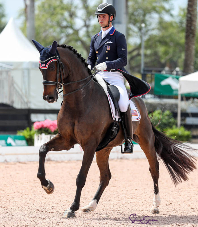Germany Takes Gold in Wellington CDIO3* Nations Cup for 3rd Straight ...