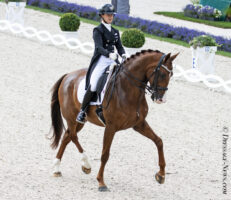 New Zealanders Melissa Galloway & Wendi Williamson Top Sydney CDI3 ...