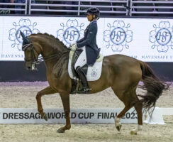 Anna Buffini & 2-time World Cup Mount FRH Davinia la Douce Sweep ...