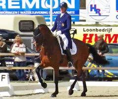 Carl Hester on Fame Makes It 2 for 2 in Debut at Tolbert, Winning CDI3 ...