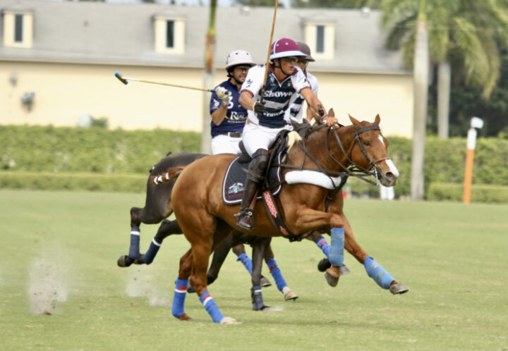 How Dutta Family's Love for Horse Sports Creates Largest Equine ...