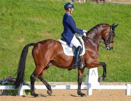 Carl Hester on Fame Wins Doha CDI5* Grand Prix Freestyle - Dressage-News