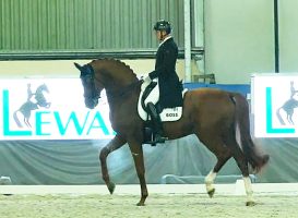 Germany's Matthias Alexander Rath Rides Destacado FRH to Dominating ...