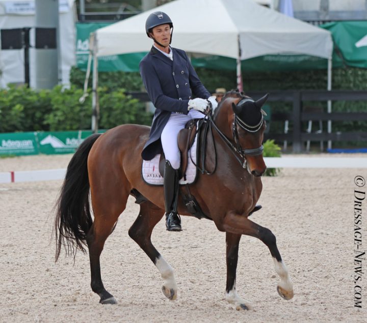 Spain's Pablo Gómez Molina Rides Farinel Di Fonteabeti to Victory in St ...