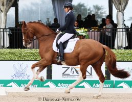 Jackpot Ridden to victory by Jennifer Williams in Inaugural Wellington ...