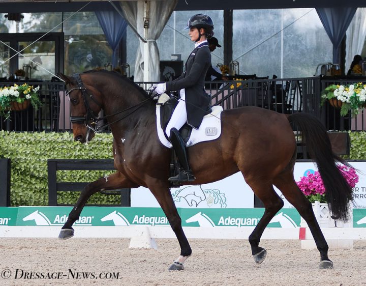 Jim, Bought by Hannah Bressler Jaques for $10,000, Wins Lövsta Future ...