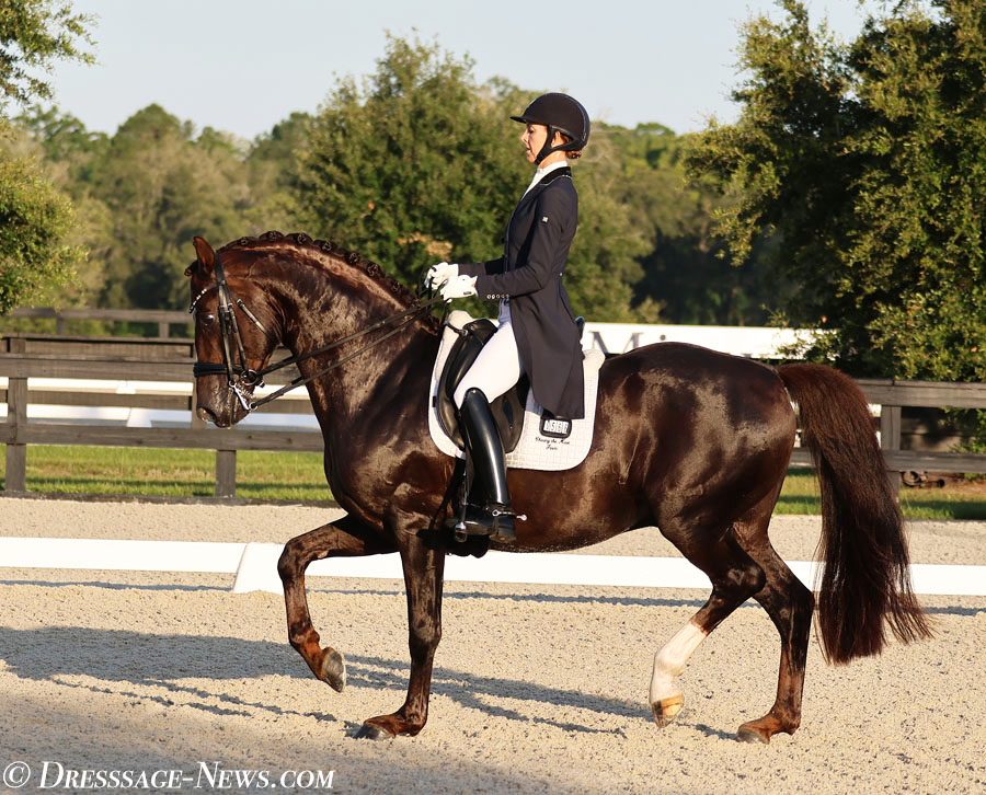 Laura Graves Returning to Top Sport with 3 Grand Prix Mounts - Part 1 ...