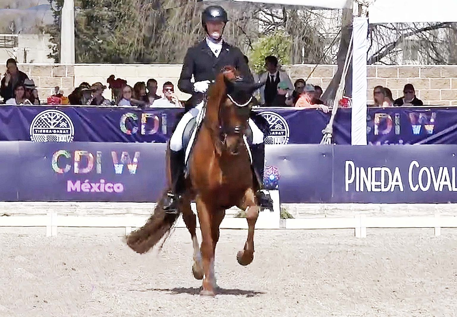 Matthias Alexander Rath Doubles Up at €300,000 World Cup in Mexico ...