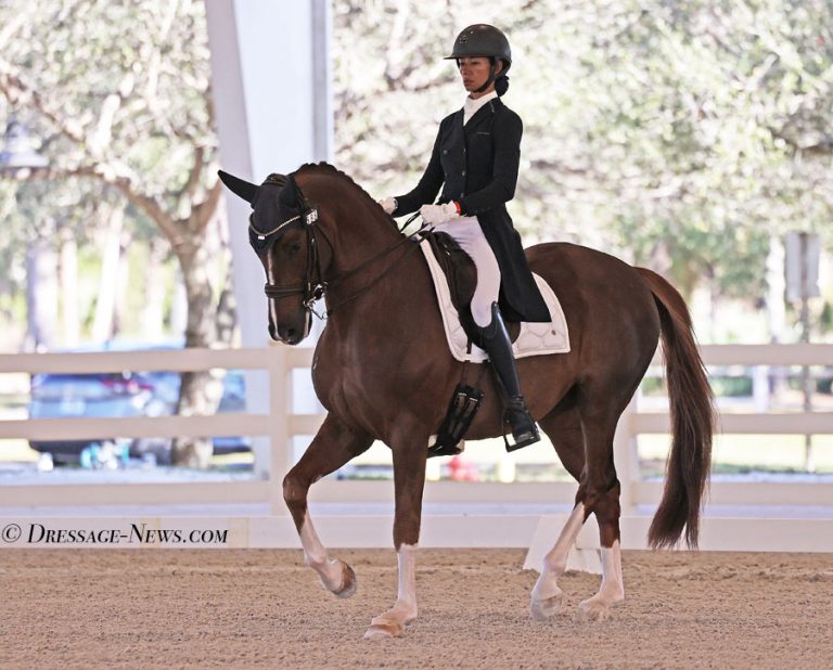 Ellesse Gundersen & Quintessential Win West Palm Beach CDI3* Freestyle ...