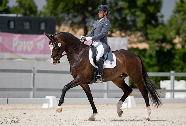 Steffen Peters to Return to Show Arena for 6-Time Olympian's First ...