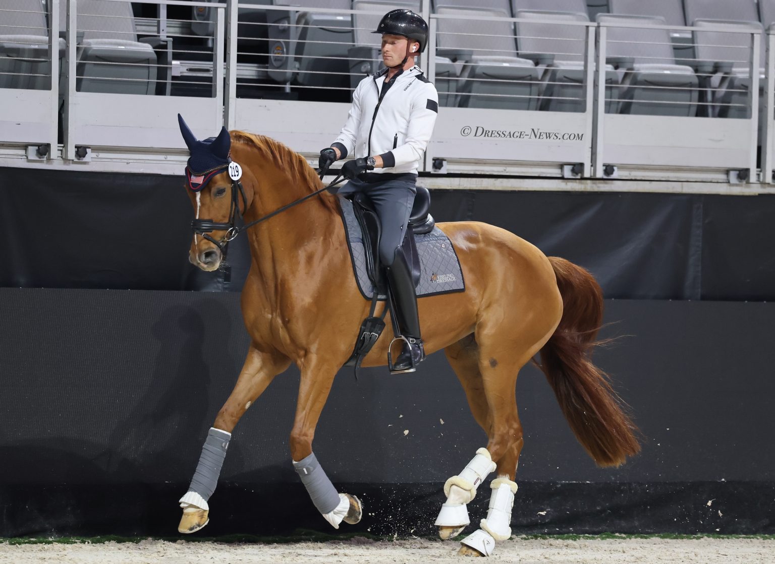 Dressage and Jumper Riders and Their Horses in World Cup Competition ...